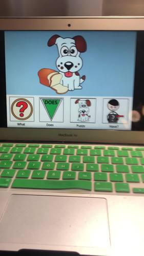 Distance Learning SUPER SIMPLE What Questions - Digital Tele Speech ...