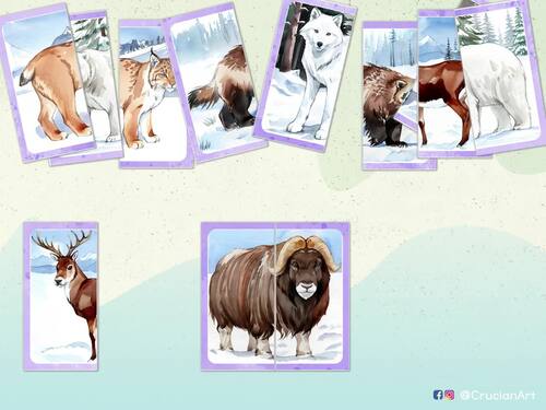 Polar Animals Picture Puzzle Pairs | Toddler, Preschool, Pre-K Matching ...