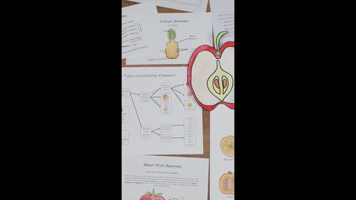 Fun with Fruit: a botany unit by Wild Earth Lab | TPT