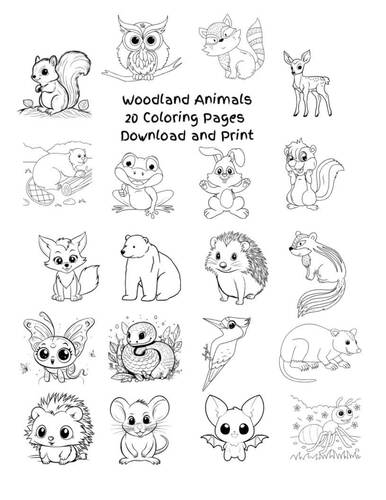 Woodland Animals, 20 Coloring Pages PLUS by RubyMoose Digital Downloads
