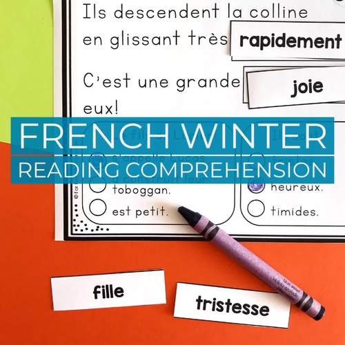 French Winter Reading Comprehension | Printable + Digital Boom Cards L ...