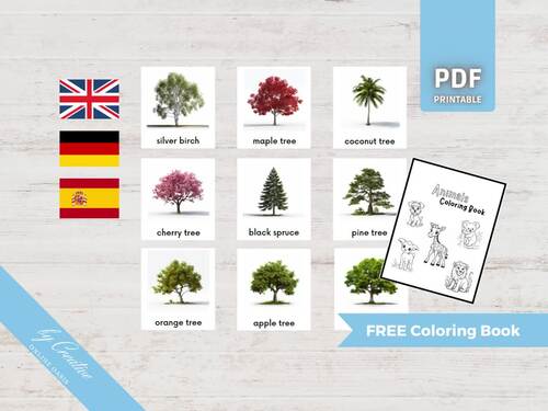 TREES • 30 Montessori Cards • Flash Cards German English • Nomenclature PDF