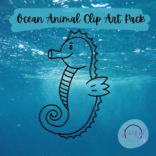 Ocean Animal Clip Art | Commercial Use by Jack and West Creative