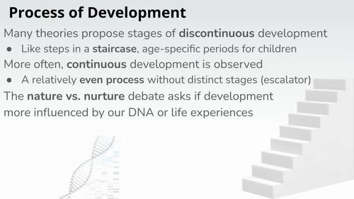 AP Psychology - Lecture Notes - Physical Development (Unit 6.1) | TPT