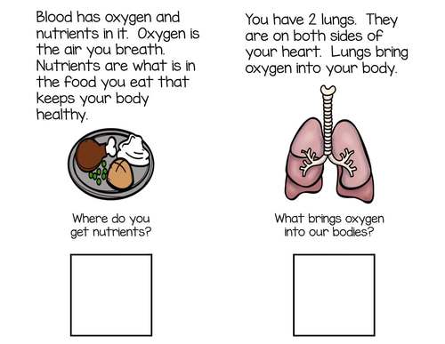 Body Organs Adapted Book | Printable | Color and BW | Special Ed