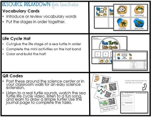 Ocean ANIMAL Lifecycle Bundle | Marine Animal Research Projects l Ocean ...