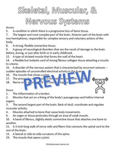 Skeletal, Muscular, and Nervous Systems Vocabulary Puzzles | Health