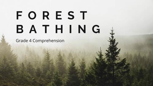 Forest Bathing Power Point by Teacher's Toolkit | TPT
