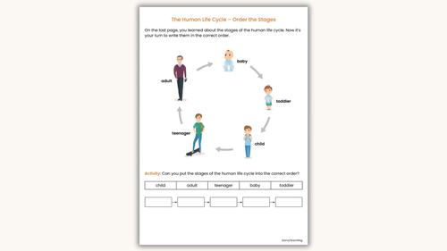 Year 2 Science Animals Including Humans | Printable Science Lesson ...