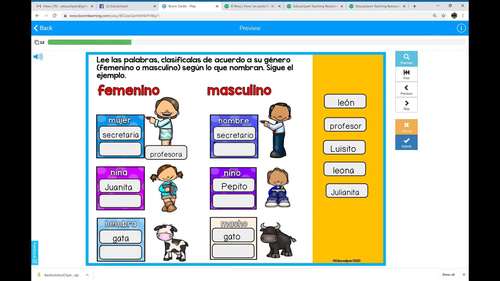 Sustantivos : Femenino - Masculino y Singular - Plural (Boom Cards)