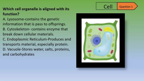 CELL(Plant and Animal) Review Questions by Brainiac Teacher | TPT