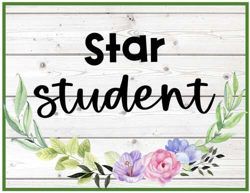 Modern Farmhouse Behavior Clip Chart for Classroom Management⎮Editable