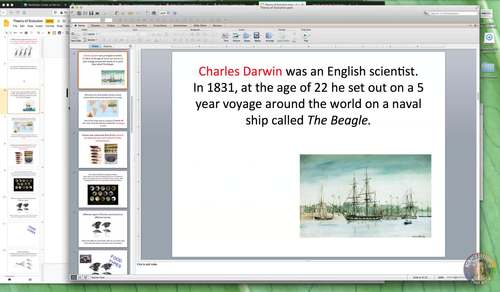 Animated PHYSICAL Scientist Portraits by Science Lessons That Rock