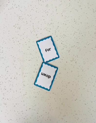 Slap It! Sight Words- Sight Word Identification Game - High Frequency Words