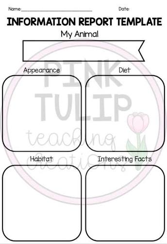 Information Text Reading and Writing Worksheet Pack - No Prep Lesson Ideas