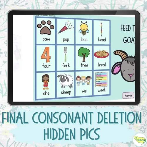 Final Consonant Deletion Boom Cards™ Hidden Pictures for Speech Therapy