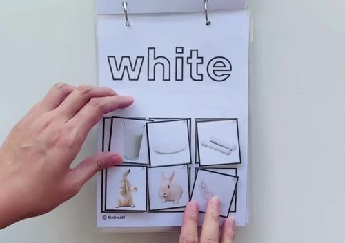 Color Sorting with Mat for Autism and Special Education by BieCreatif