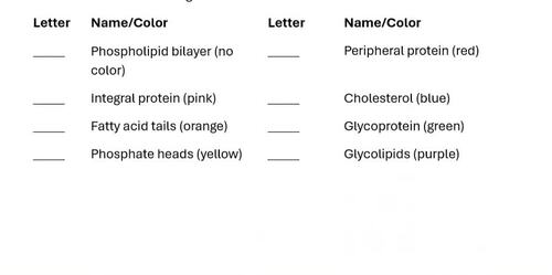 Biology Cell Membrane Online Interactive Learning Module Guided Notes