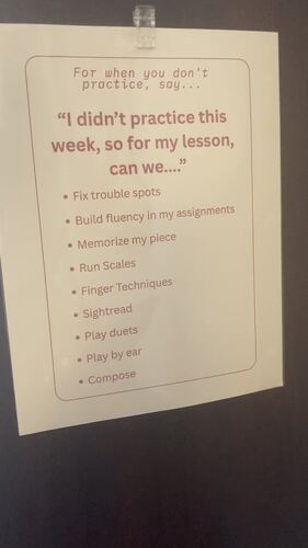 When You Don't Practice - Piano Lesson Checklist by Beth Smith Studio