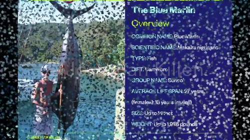 Young Geniuses: The Blue Marlin - Online Learning | TPT