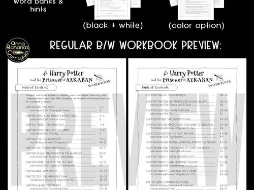 HARRY POTTER PRISONER OF AZKABAN WORKBOOK Print Novel Study: Vocab/Comp ...