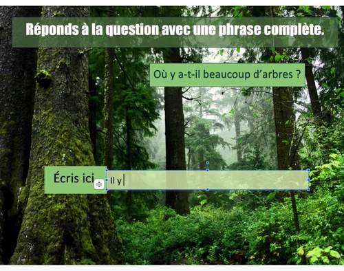 French Places in the Community PowerPoint, Activities, and Curriculum ...