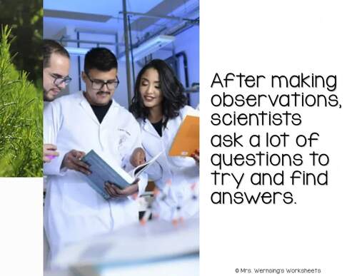 What Do Scientists Do? Projectable Read-Aloud Lesson - KINDERGARTEN SCIENCE