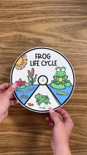 Frog Life Cycle Activities, Life Cycle of a Frog Worksheets, Craft ...