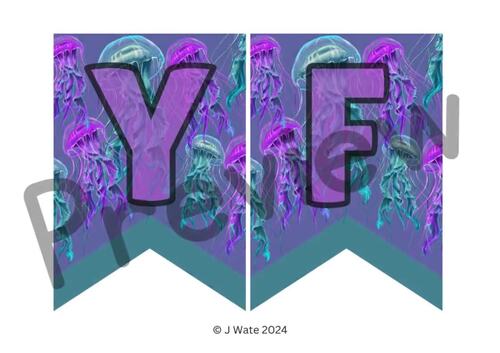 Fact File Jellyfish Worksheet Research PROJECT Booklet | Ocean Activities