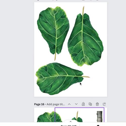 Great Minds Grow Here Bulletin Board by mrsvqzteaches | TPT