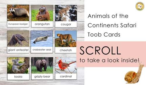 Animals of the Continents Safari Toob Montessori Editable 3-Part Cards ...