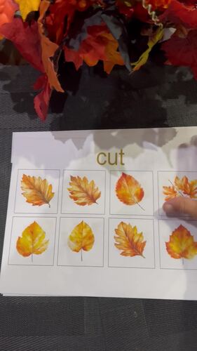 fall leaves Matching Sorting Special Needs Therapy DDT ABA | TPT