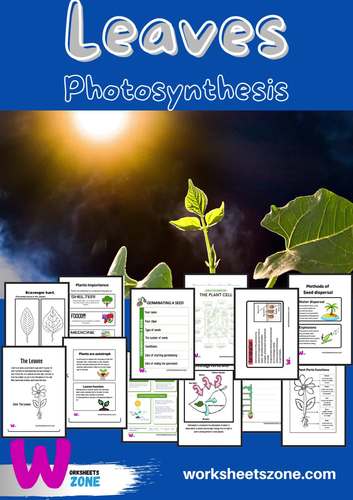 Life Cycle of Plants Unit , Plants parts and need ,flowering plant unit ...