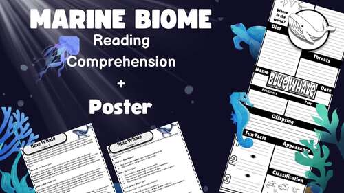 Seahorse Reading Comprehension Informational Text All About Seahorses ...