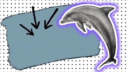 Step by Step Drawing Tutorial of a DOLPHIN & CLOWN FISH- Art Worksheet ...