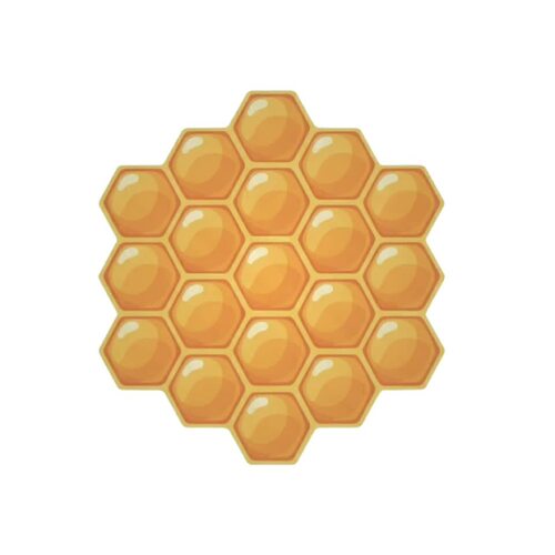 Honey Bee Life Cycle Clip Art Educational Resources for Spring Science