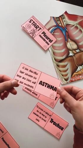 Respiratory System Domino Review Cards Respiratory System Card Matching