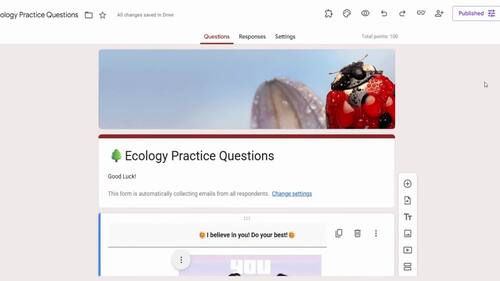 Ecology Assessment Google Form | Ecosystems, Food Webs, Energy Flow Quiz