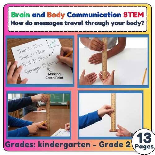 Brain and Body Communication STEM | Human Body and Nervous System Units ...
