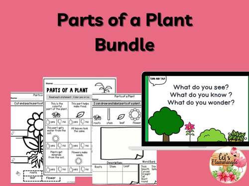 Plants Unit Label Parts of a Plant worksheets What Plants need Cut and ...