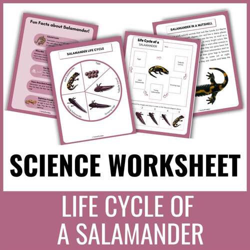 Life Cycle of a Salamander Worksheet- Amphibian Science Unit Study With ...