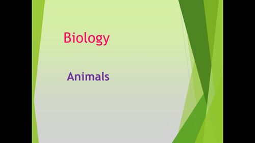 Biology Lesson: Animals by Optimal Resources | TPT