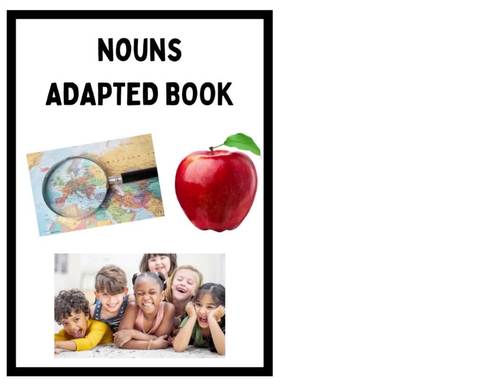 Adapted Book for Special Education (interactive book) My Noun Book