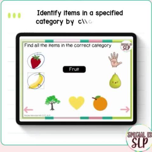 Sorting Objects into Categories and Identifying Boom™ Cards for Speech ...