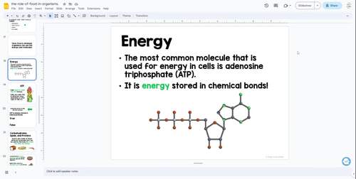 Food and Energy - Role in Organisms Interactive Lesson | TPT