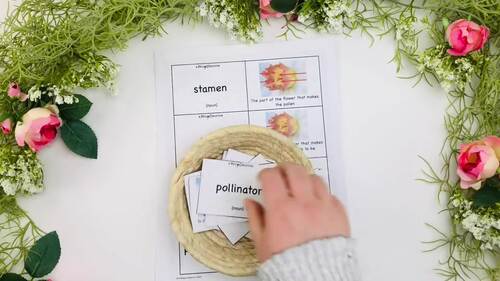 Spring Plant Flower 2nd Grade Nonfiction Reading Unit RI.2.1 Ask Answer ...