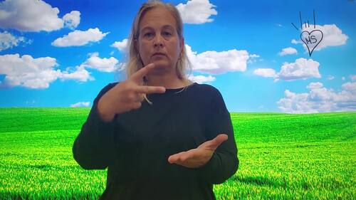 ASL Unit 7 Video 15 by Melissa Sexton | TPT