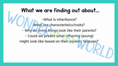 Inherited traits characteristics presentation & activity for third ...