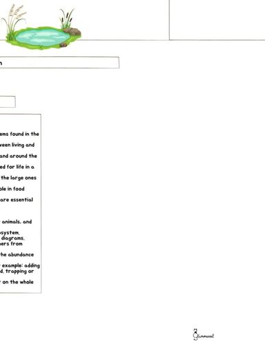 Wetland Ecosystems: Problem Solving Science Investigations | TPT
