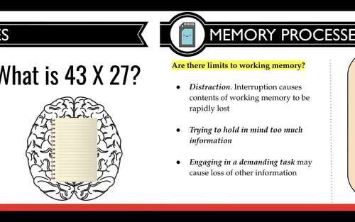 Memory Unit Bundle (45-50 Minute Periods) by Loosli Learning | TPT
